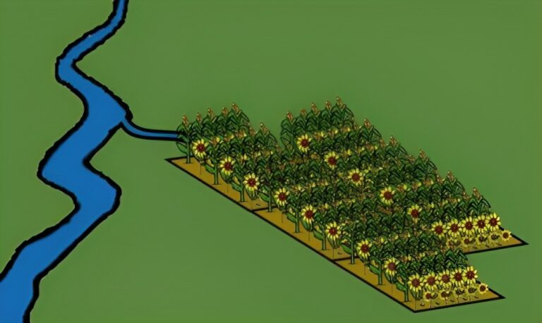 Rainwater Harvesting | Key to Sustainable Agriculture