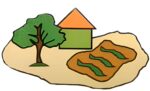 Rainwater Harvesting | Key to Sustainable Agriculture