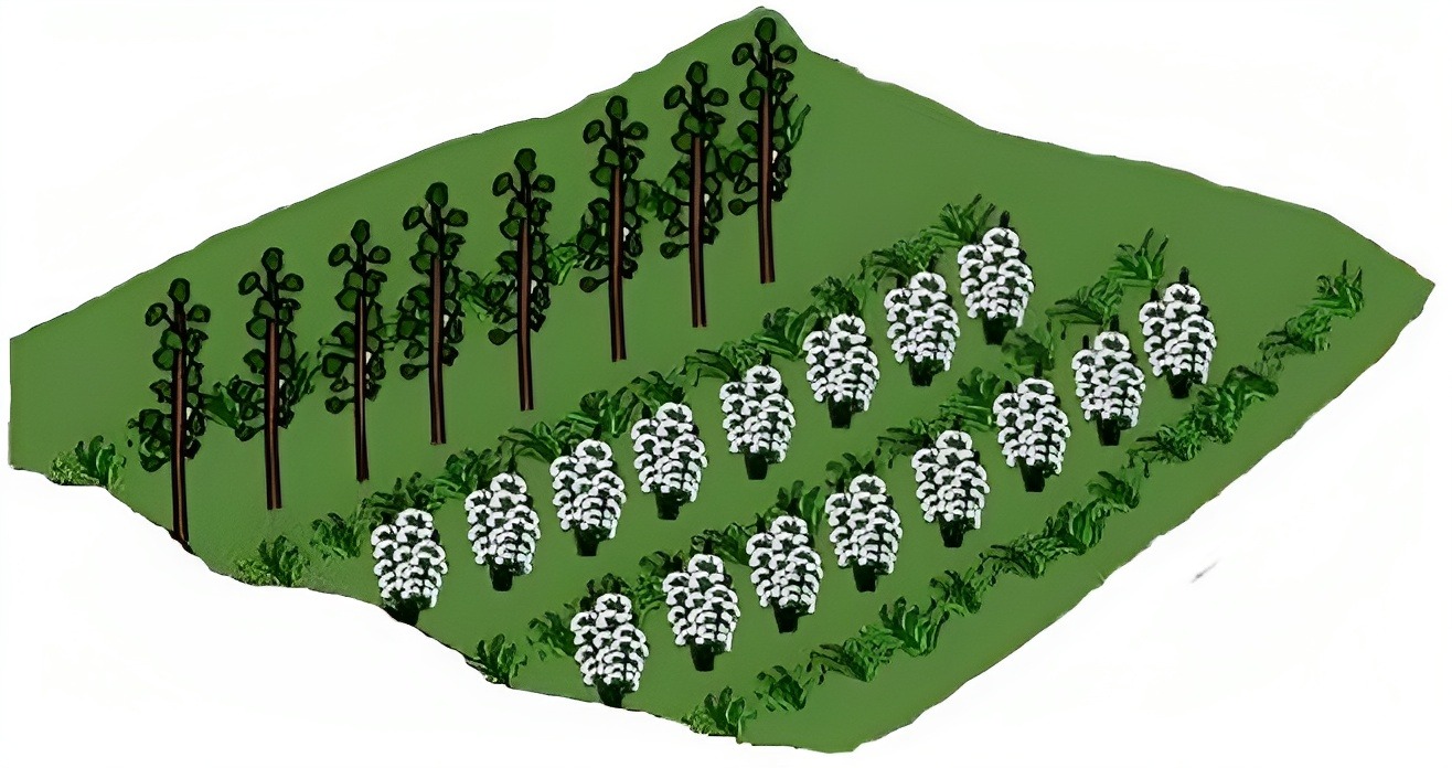 Rainwater Harvesting | Key to Sustainable Agriculture